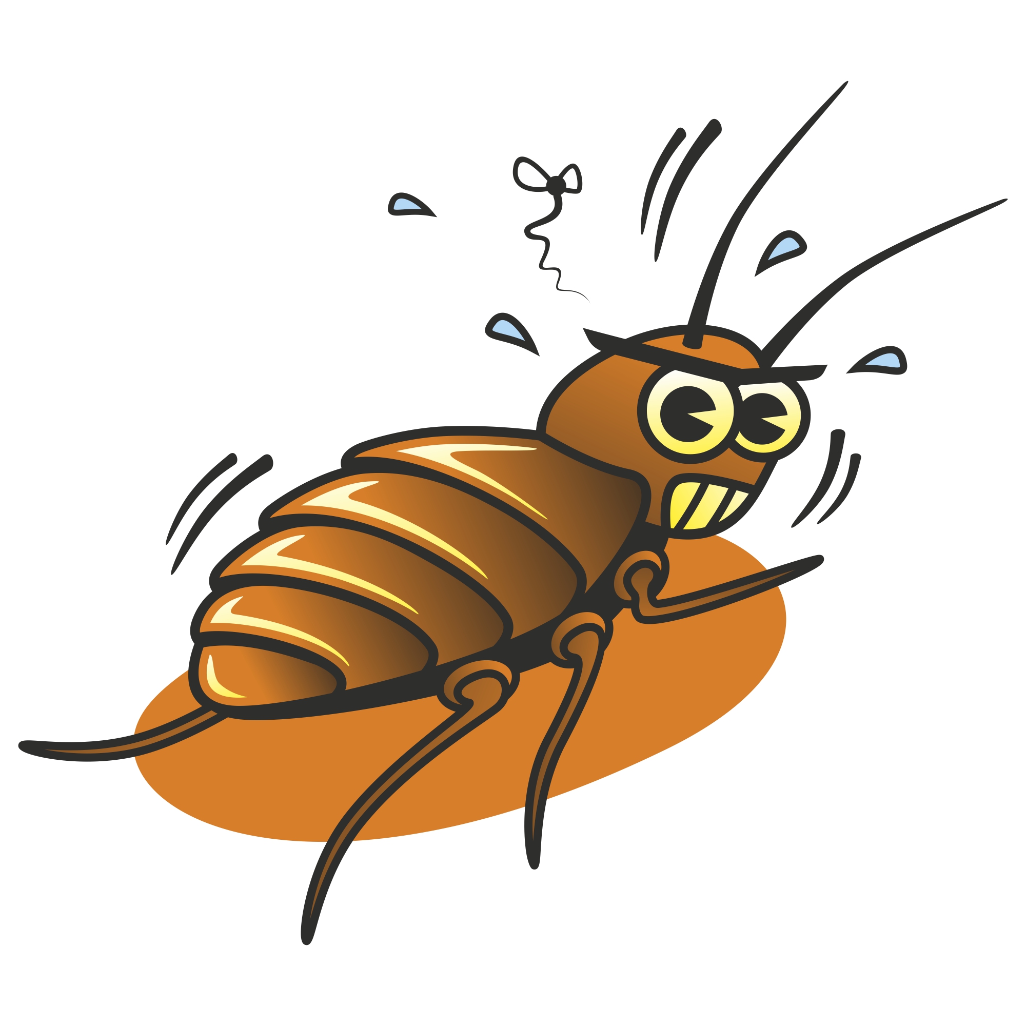 Verkkokauppa – Satapirkan Tuholaistorjunta Oy